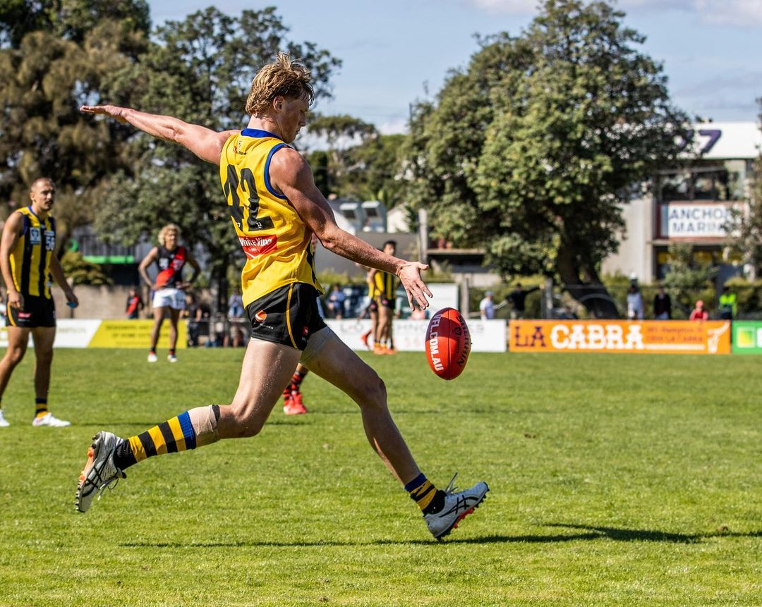 The History of the Sandringham Zebras - Wilson Storage